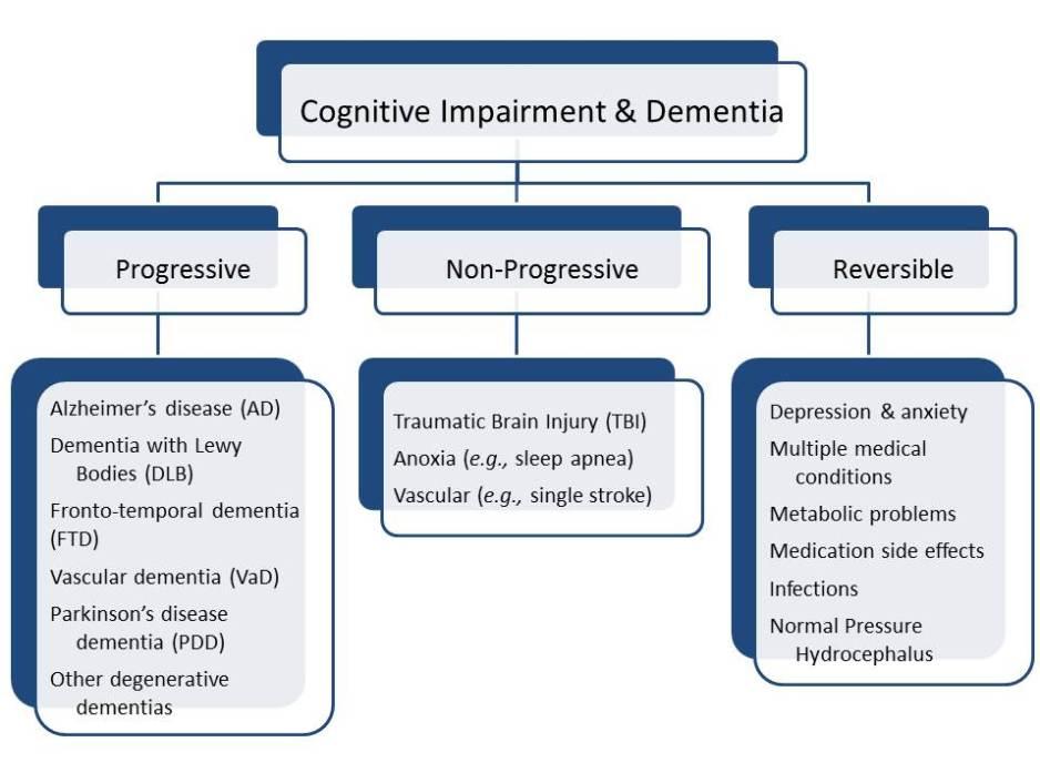 Cognitive Decline: Early Signs You Must Notice | Springfield, MO